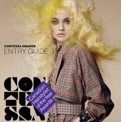 The Contessa Awards Entry Guide! | Salon