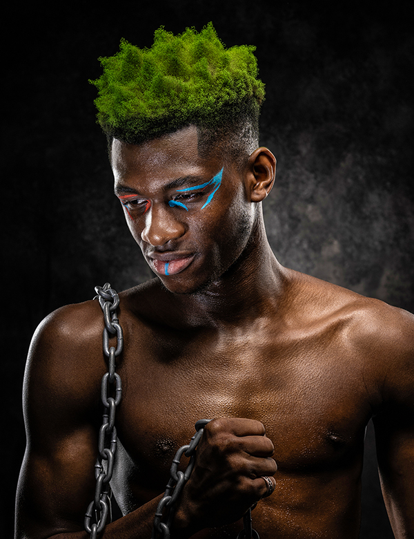 Contessa 35 Finalist Collection – Alma Head | Salon