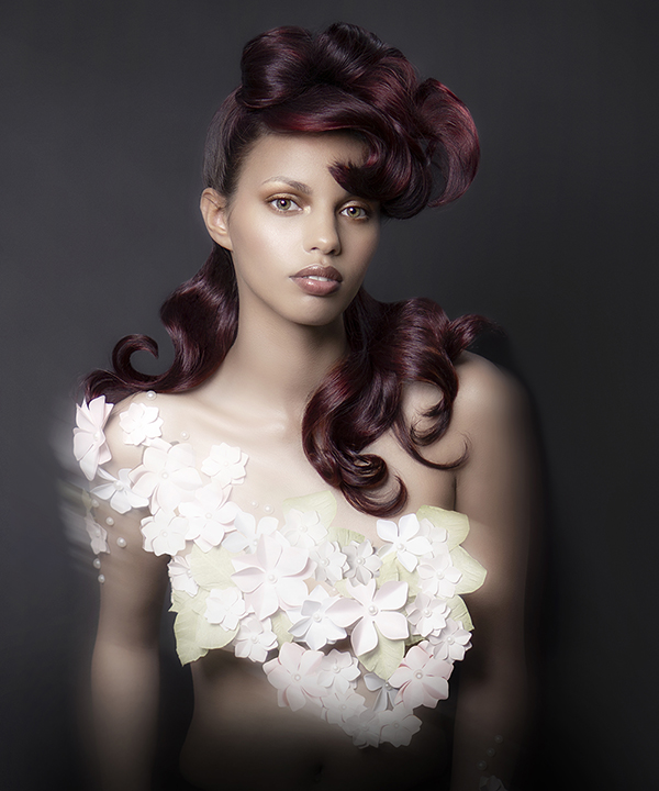 Contessa 35 Winning Collection – Jenny Bell | Salon