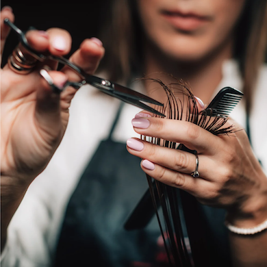 Learn the Difference Between Vertical and Horizontal Sectioning for ...